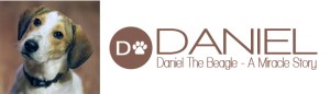 Daniel’s story | DoggyMom.com
