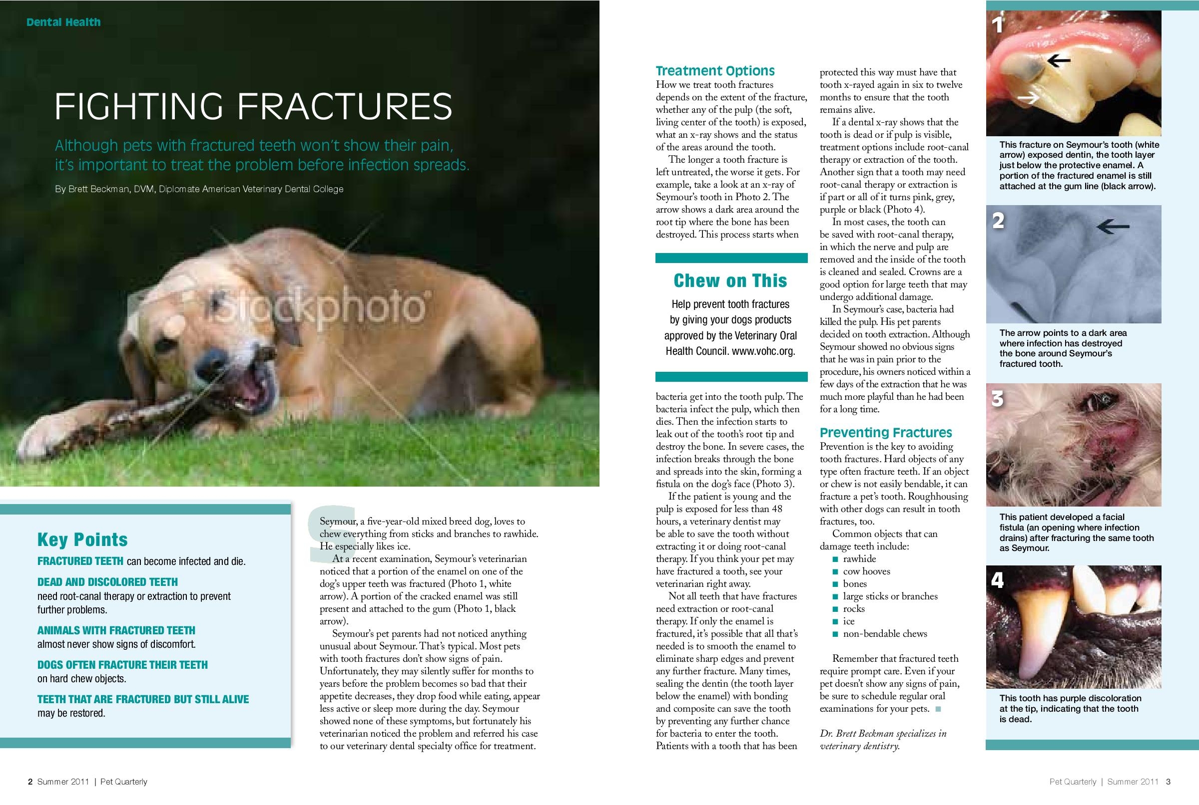 Fighting Fractures | DoggyMom.com