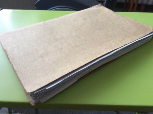 The blessing and curse of a thick file | DoggyMom.com