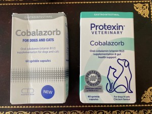 DoggyMom.com | The blog about everything dog