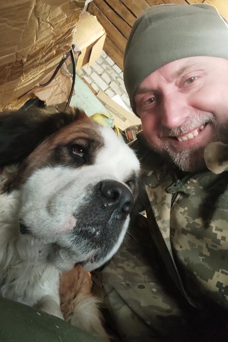 War Came to Ukraine and Its Dogs Are Not the Same | DoggyMom.com